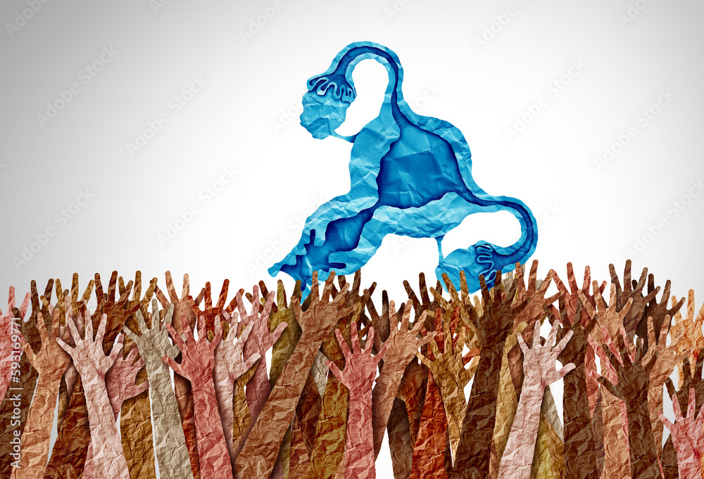 Reproductive Justice and Women right to birth control and family ...