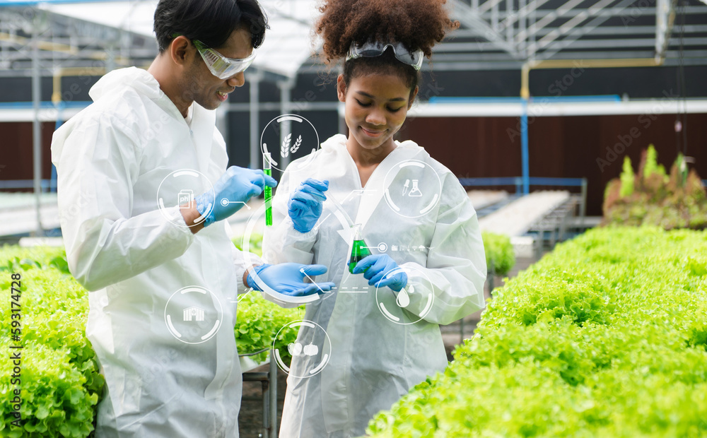 Researcher in white uniform are checking with ph strips in hydroponic ...