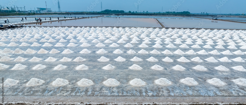 Sea salt farm in Thailand. Brine salt. Raw material of salt industrial ...