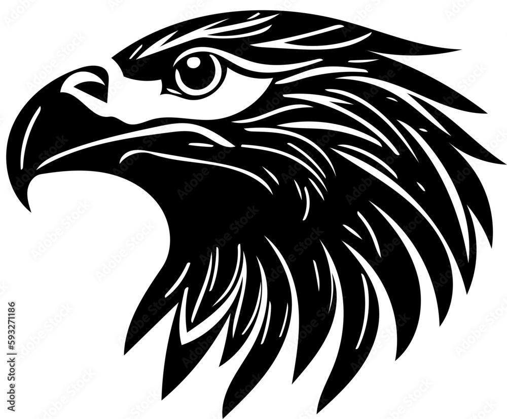 Hawk Head Illustration