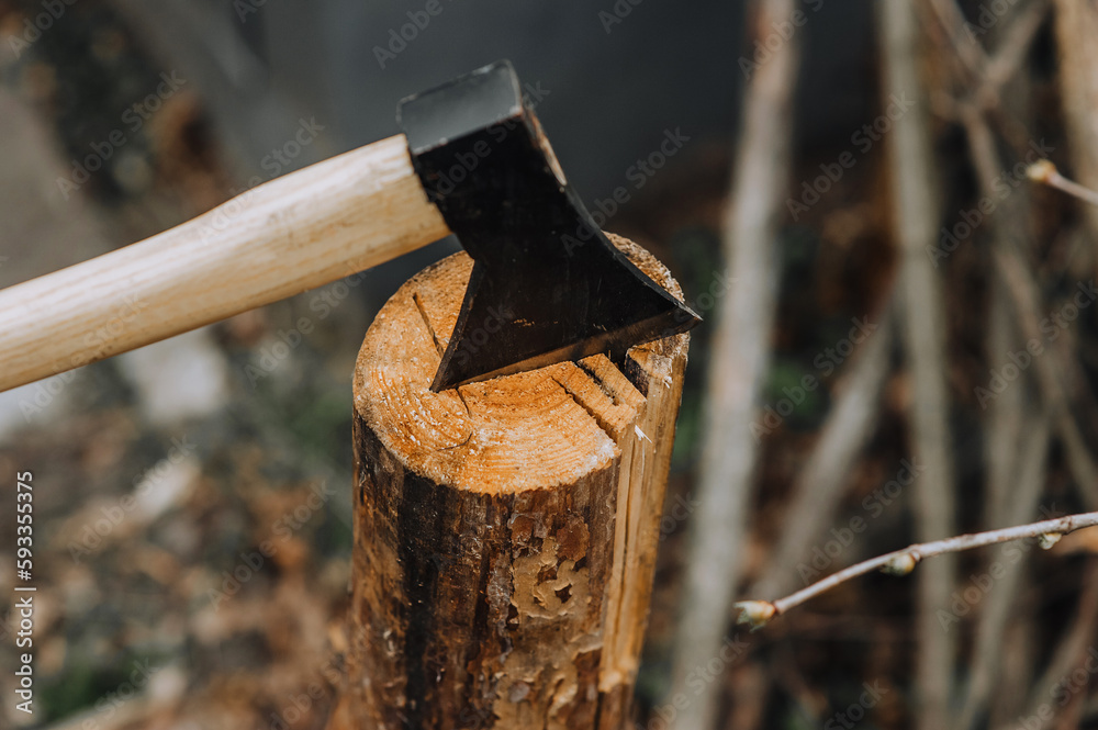 Chopping a log, tree with an ax outdoors, nature, in the forest close ...