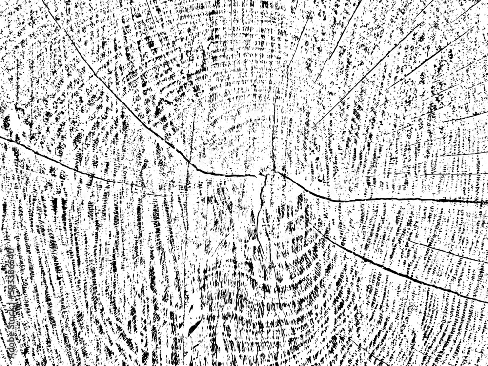 Unique, organic grunge texture of a tree cross-section with cracks and ...