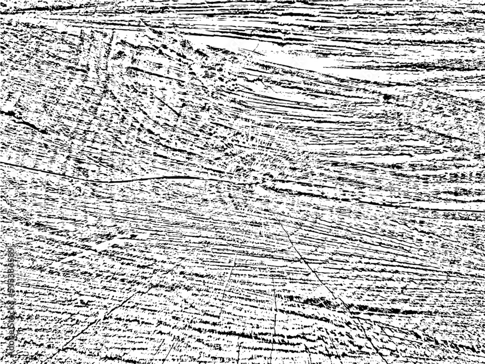 Unique, organic grunge texture of an old sawn tree with cracks and ...