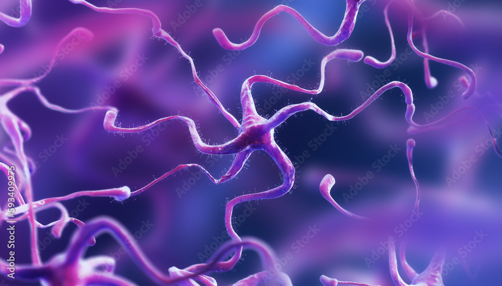 Scientific imaging of neuron cells in the human nervous system ...