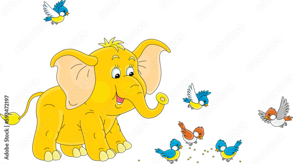 Funny baby elephant smiling and watching a merry flock of small birds ...