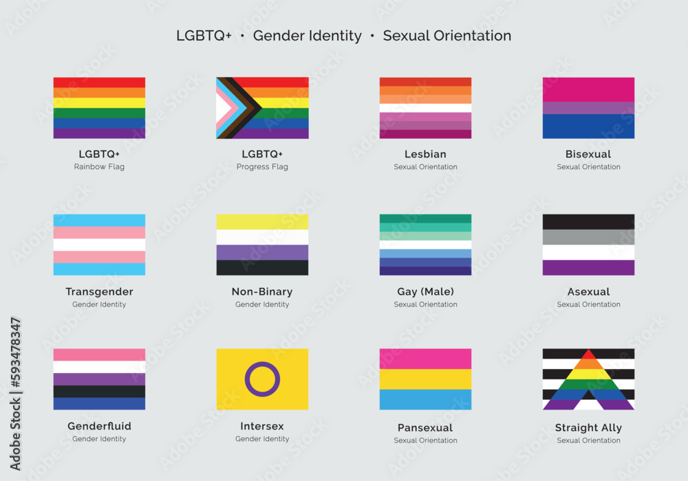 LGBTQ+ Gender Identity Sexual Orientation Gay Pride Flags Stock Vector ...