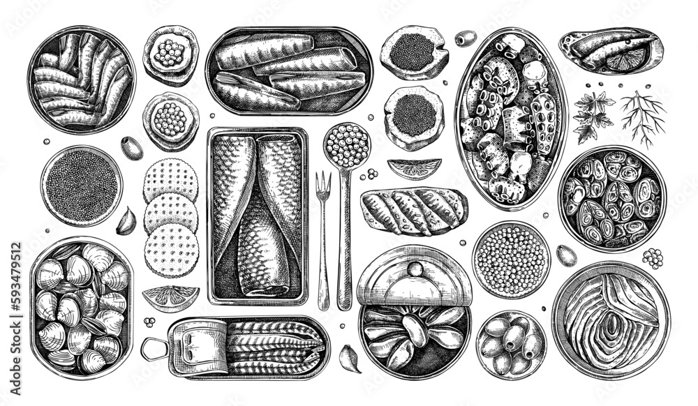 Seafood drawings set. Hand-drawn tinned fish sketches. Sardines ...