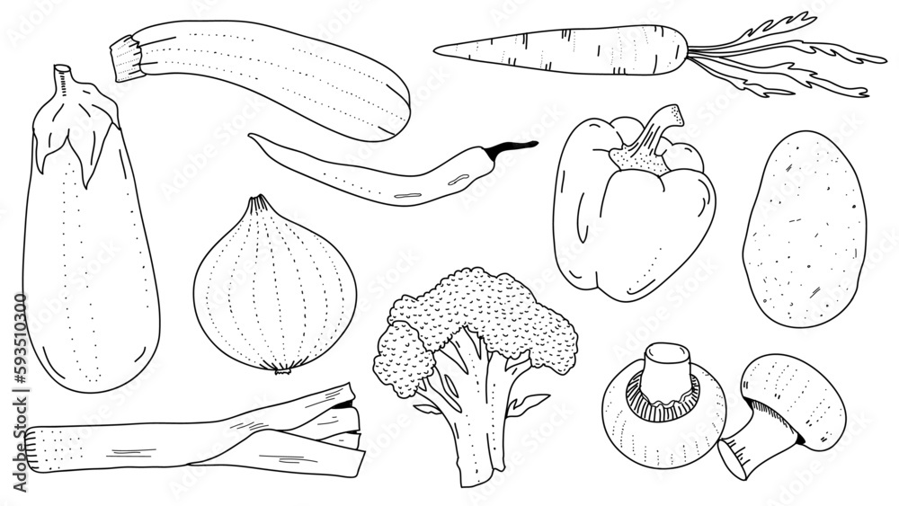 Vegetable illustration set. Plant based diet. Vegetarian cooking doodle ...