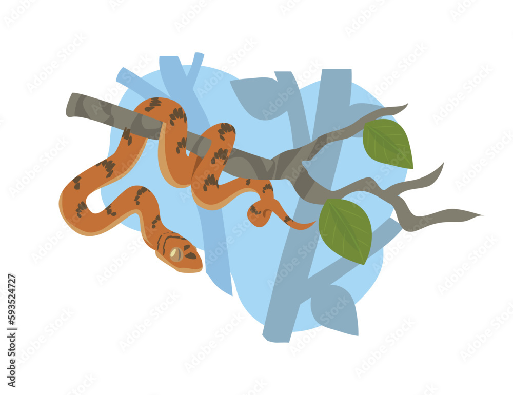Brown tree snake crawls on tree and hangs on branch - flat vector ...