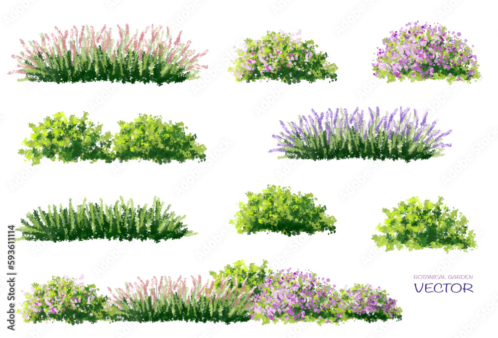 Vector watercolor blooming flower tree side view isolated on white ...