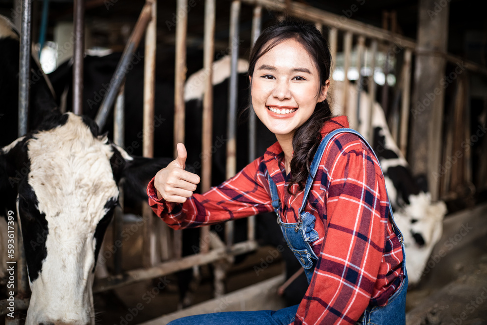 Attractive Asian dairy farmer woman working alone outdoors in farm ...