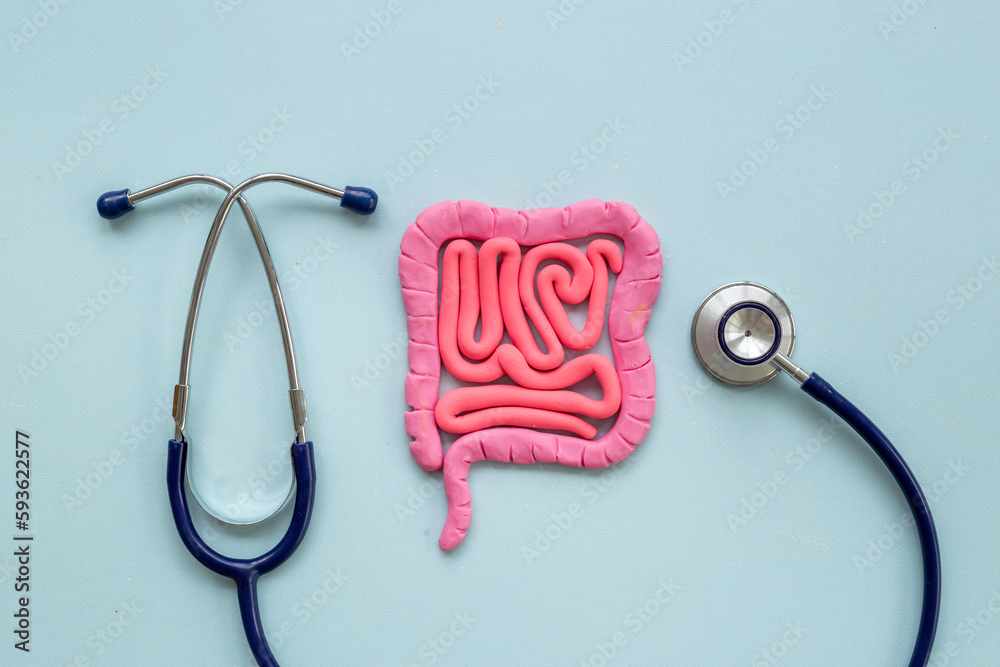 Stomach or intestines colon organ problems. Bowel disease concept ...