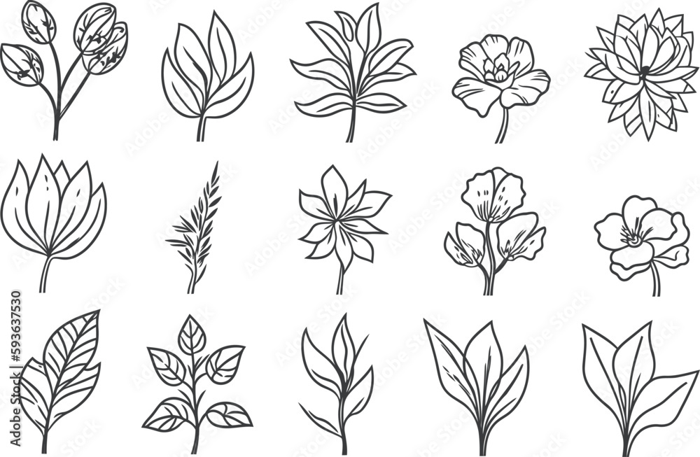 Botanical doodle illustration including different leaves. Cute line art ...