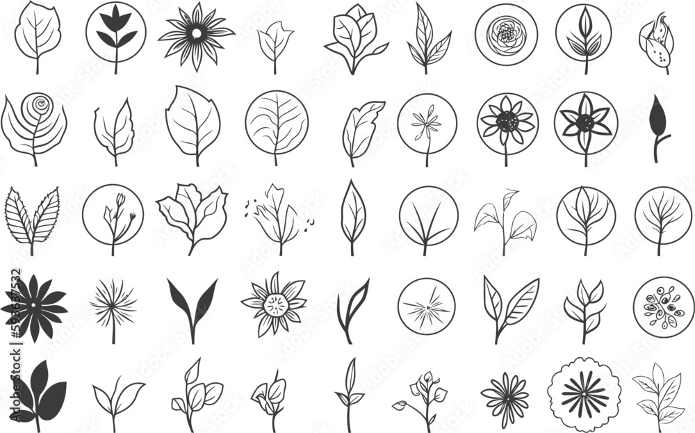 Botanical doodle illustration including different leaves. Cute line art ...