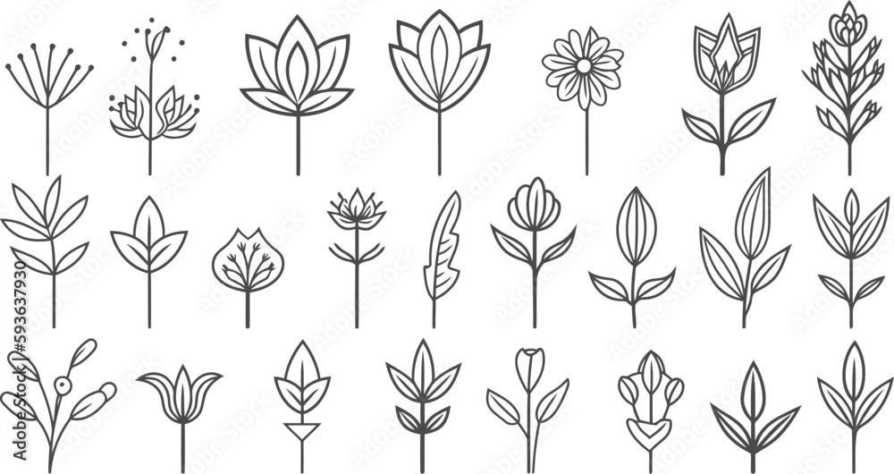 Botanical doodle illustration including different leaves. Cute line art ...