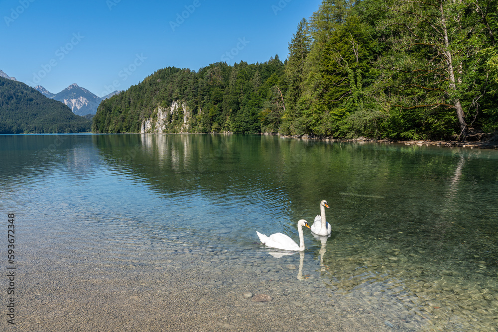 Beautiful alpine lake Alpsee located near Neuschwanstein castle ...