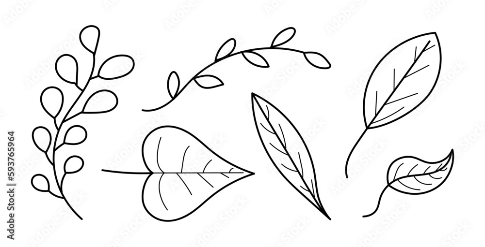 Vector doodle leaves set. Hand drawing different leaves collection ...