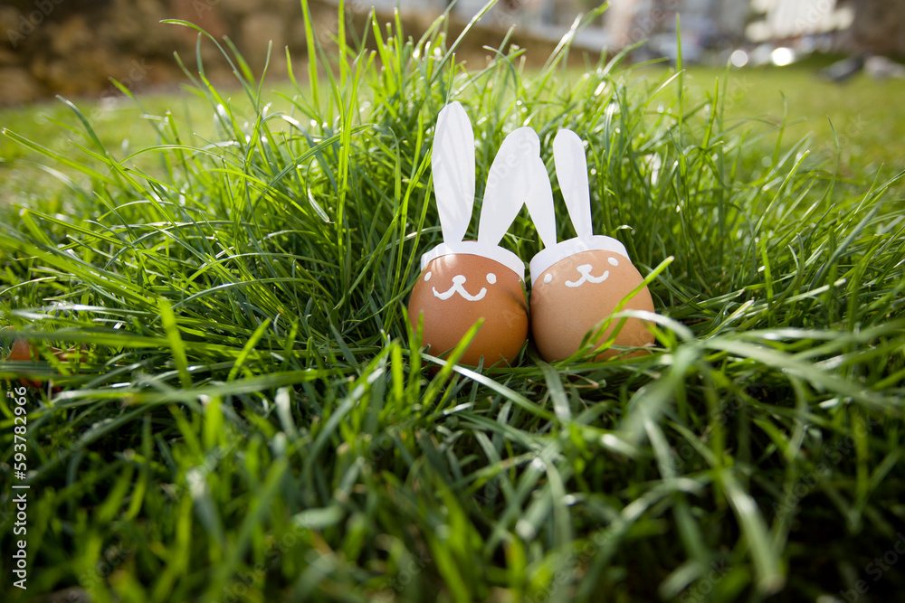 bunny eggs Stock Photo | Adobe Stock