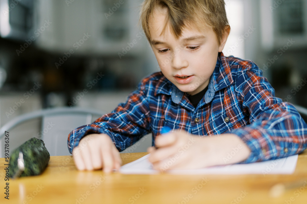 little boy at home sitting at dining table doing his homework Stock ...
