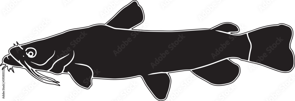 Flathead Catfish Hand sketched, hand drawn vector clipart Stock Vector ...