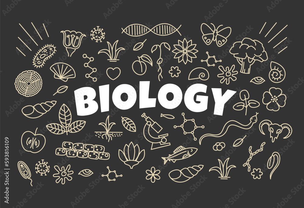 Biology background with signs and symbols on school board, vector ...