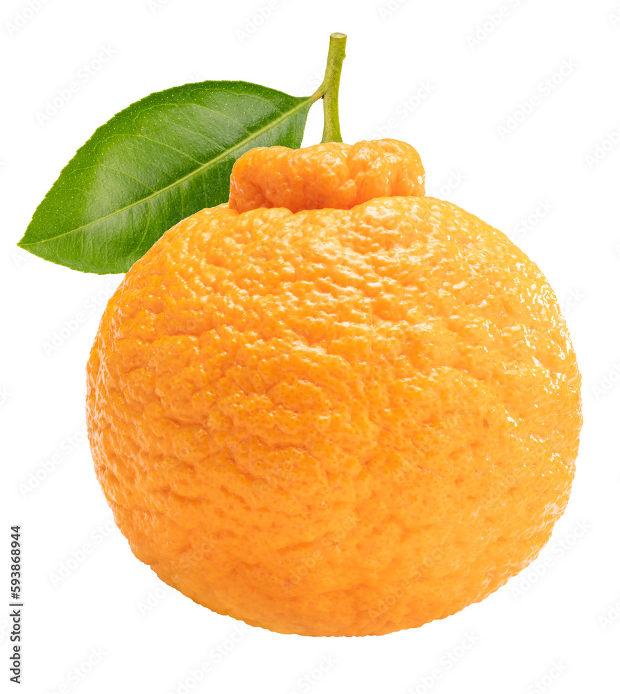 Sumo orange or Dekopon orange with leaves on white background, Orange ...