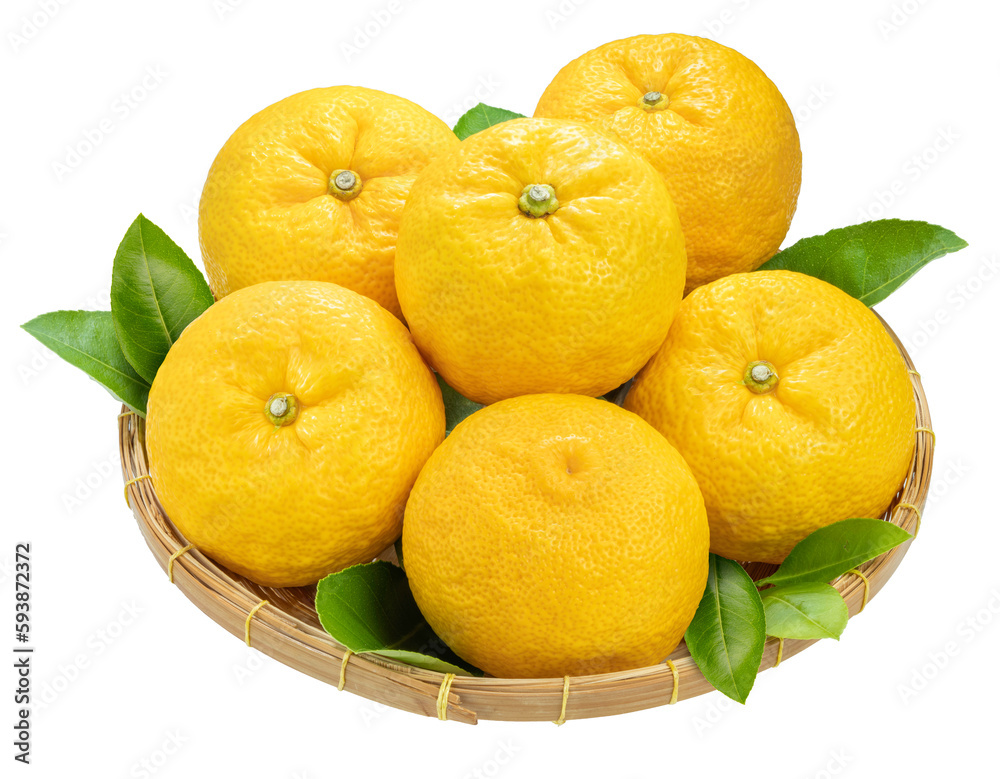 Fresh Sweet Yuzu Orange fruit in wooden basket isolated on white ...