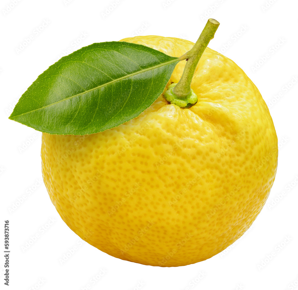Kochi Yuzu orange isolated on white background With work path, Yellow ...