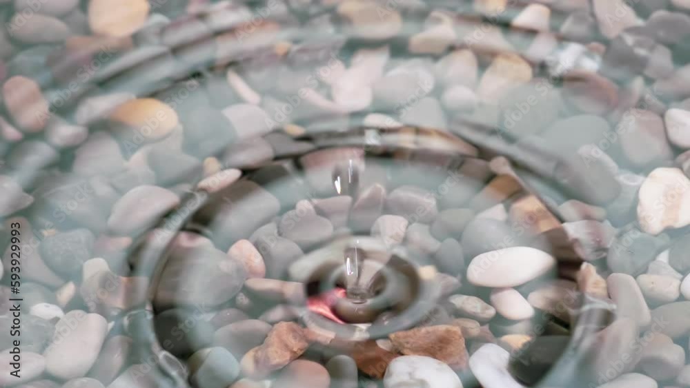 Drop Falling into a Clean Puddle. Drops of water drip onto the surface ...