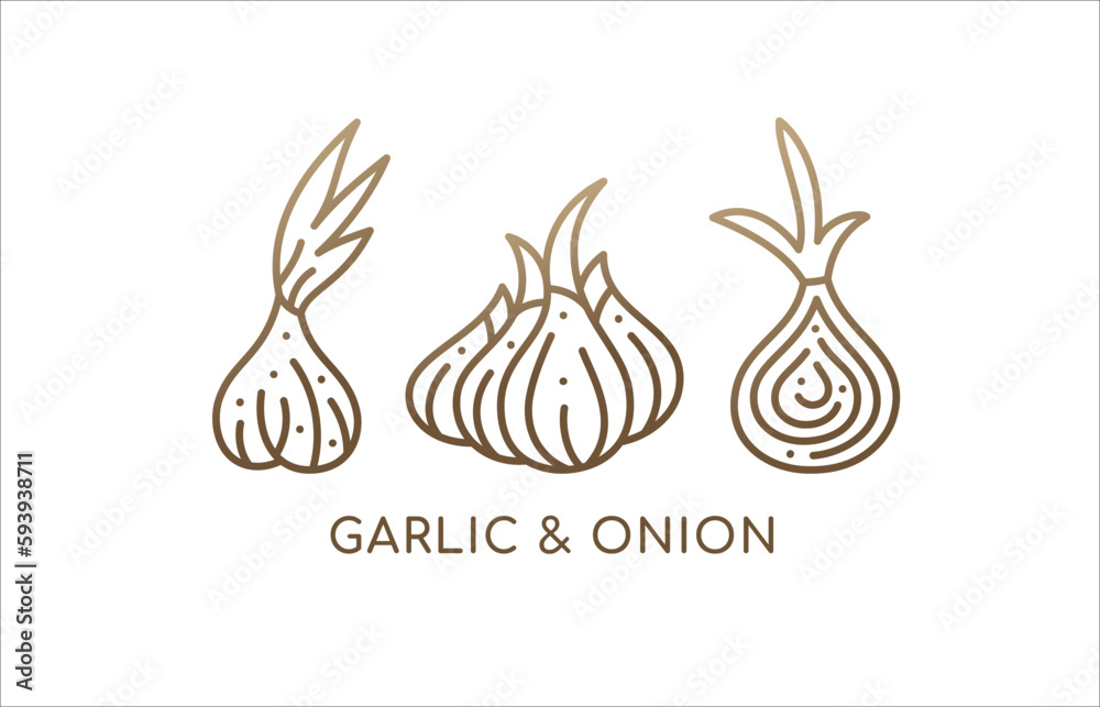 Onion and garlic linear set icons. Logo vegan food. Ripe root. Spices ...
