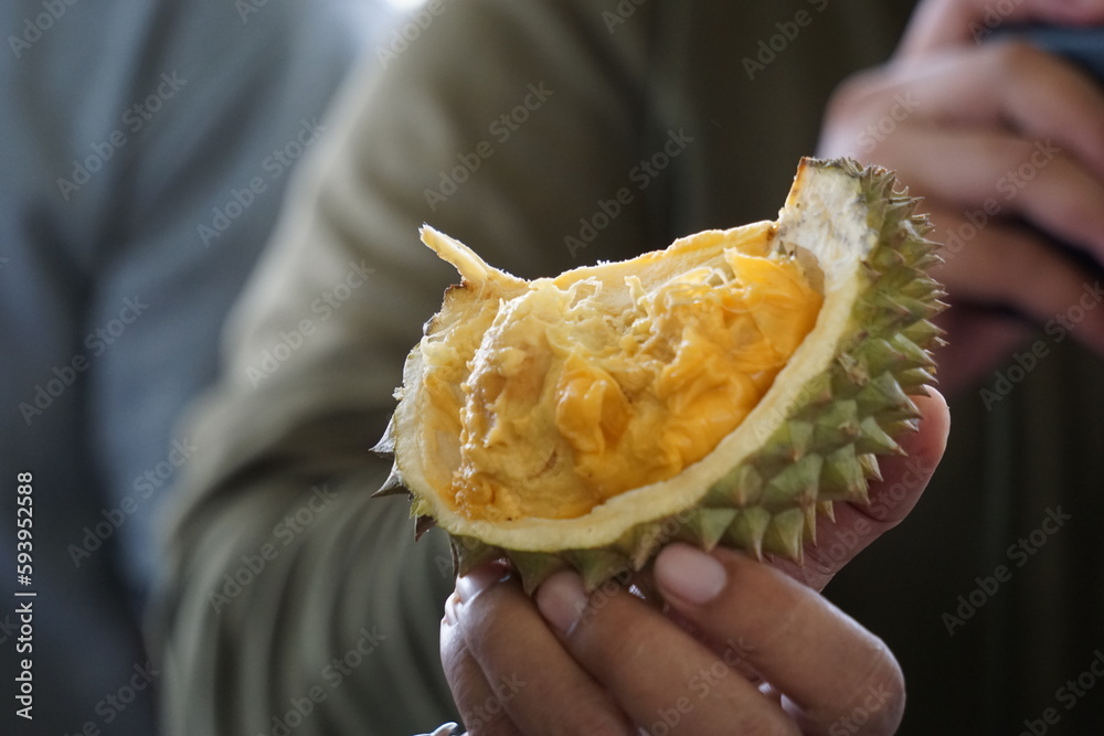 Durian, the king of fruit. Durian is one of the exotic fruit from East ...