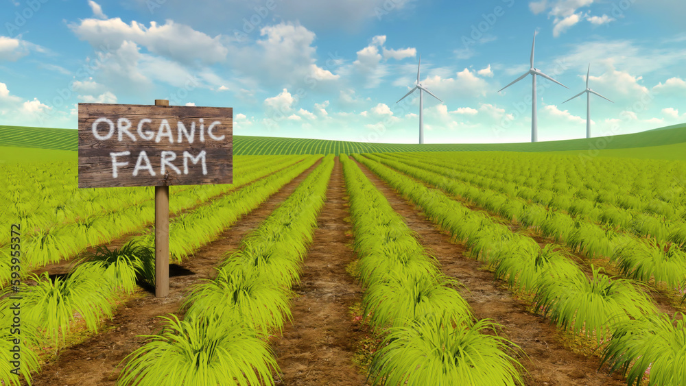 Countryside landscape with wooden sign board "Organic Farm" among rows ...