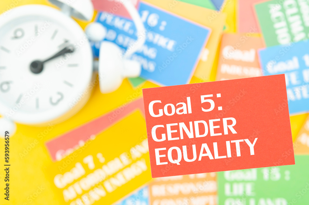 The Goal 5 : Gender Equality. The SDGs 17 development goals environment ...