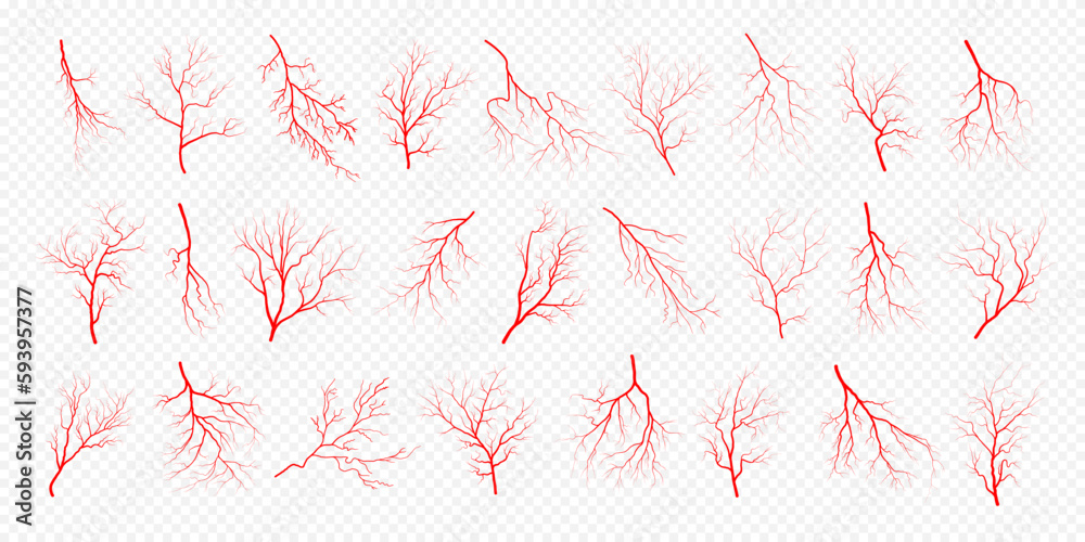Obraz Human eye blood veins vessels silhouettes vector illustration set ...