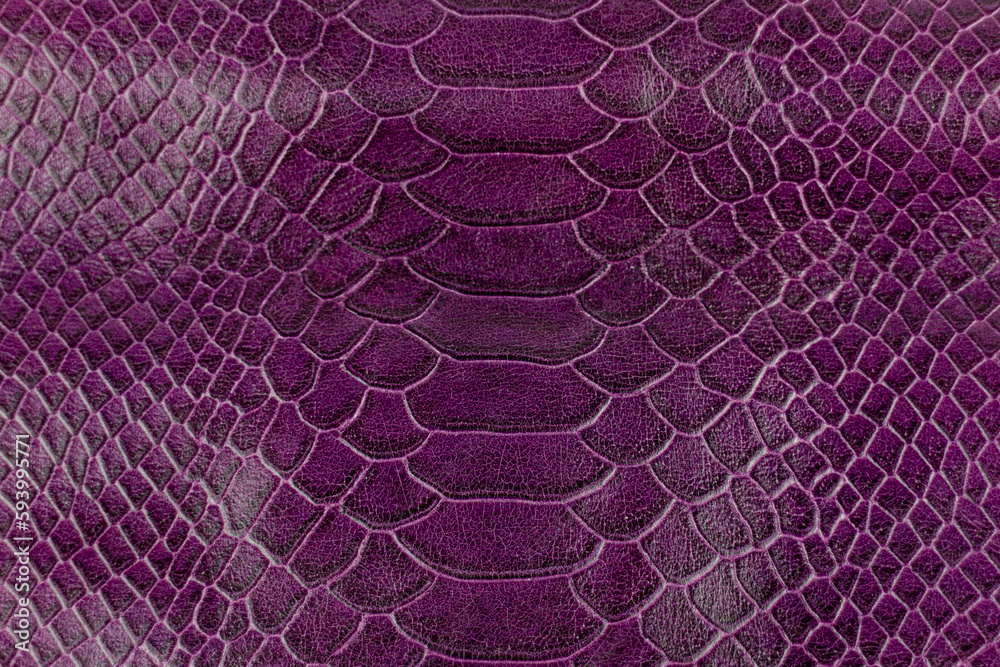 Purple snake skin texture. Abstract background and texture for design ...