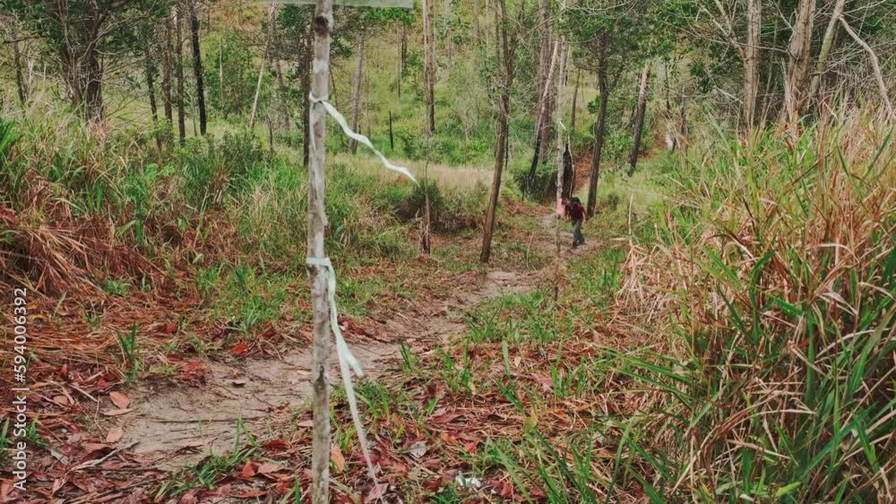 hiking, trekking in the Borneo rainforest jungle Brunei Sungai Liang ...