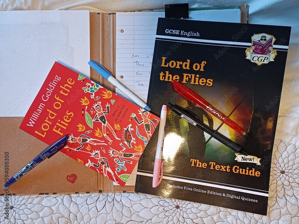 Top view of Lord of the Flies books by William Golding, full version ...