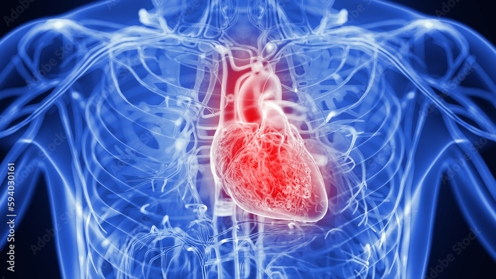 3d medical illustration of a man's inflamed heart Stock Illustration ...