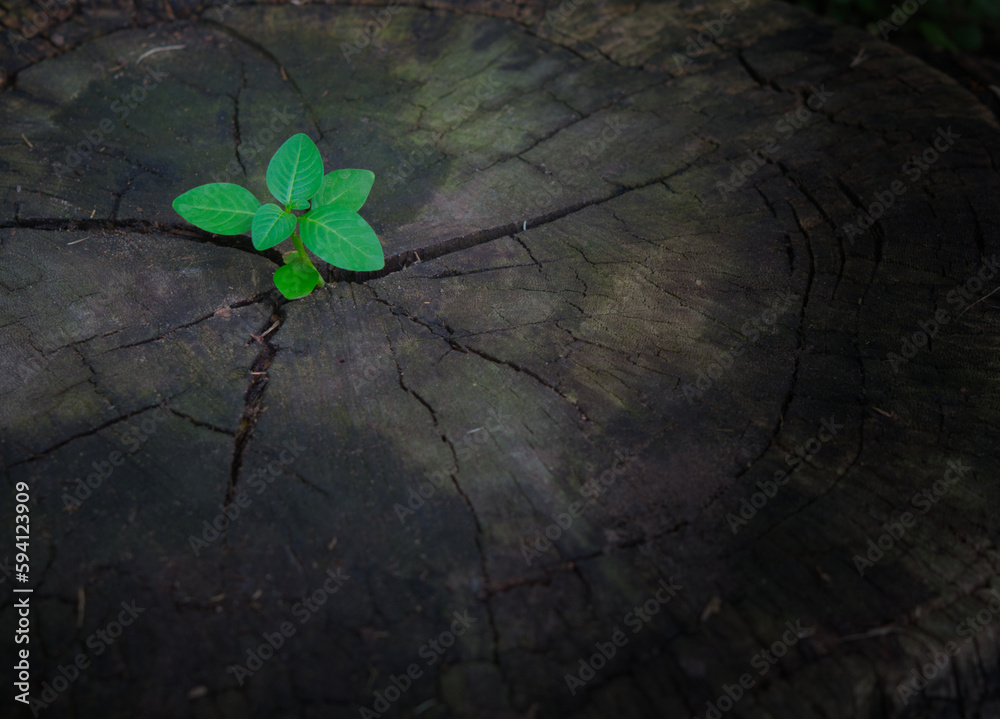 Restart concept: is all about starting anew, embracing change, and ...