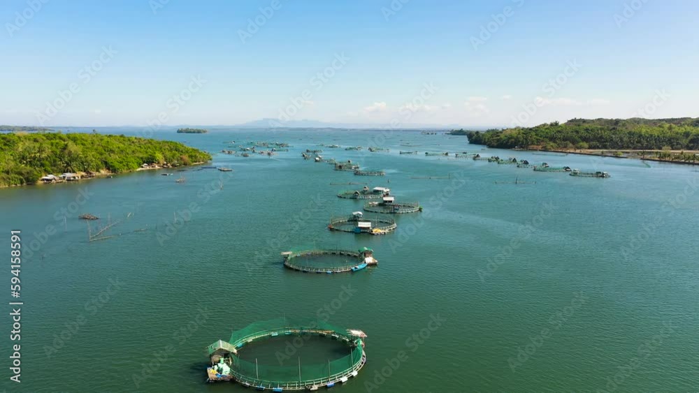 Fish farm with cages for fish and shrimp. Fish ponds for bangus ...