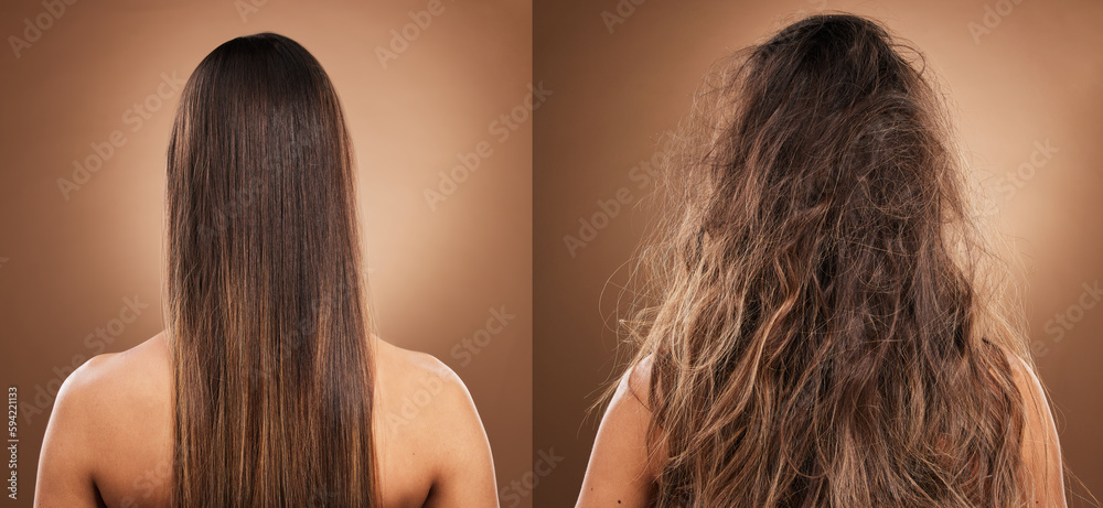 Hair care, beauty and back of woman in studio with shiny, clean and ...