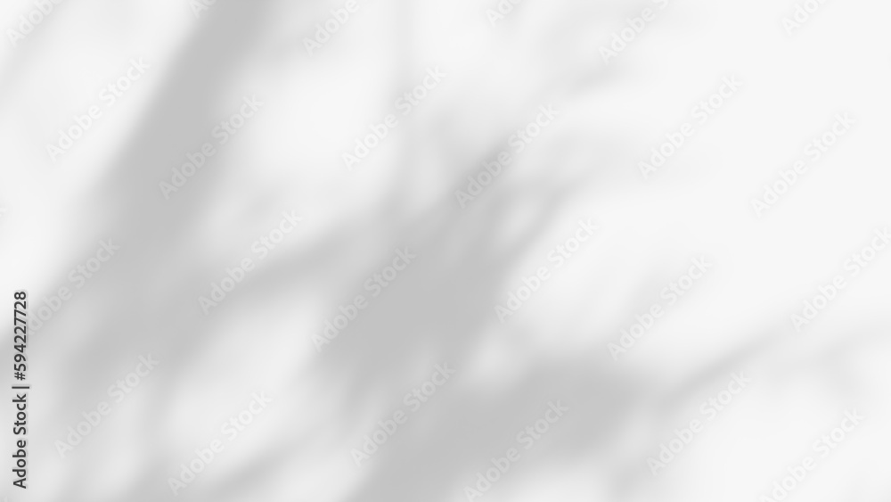 leaf shadow overlay effect. white background with tropical leaves ...