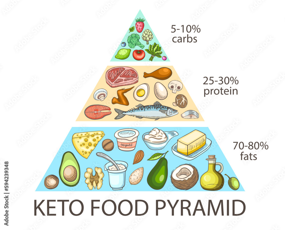 Ketogenic diet food pyramid Stock Vector | Adobe Stock