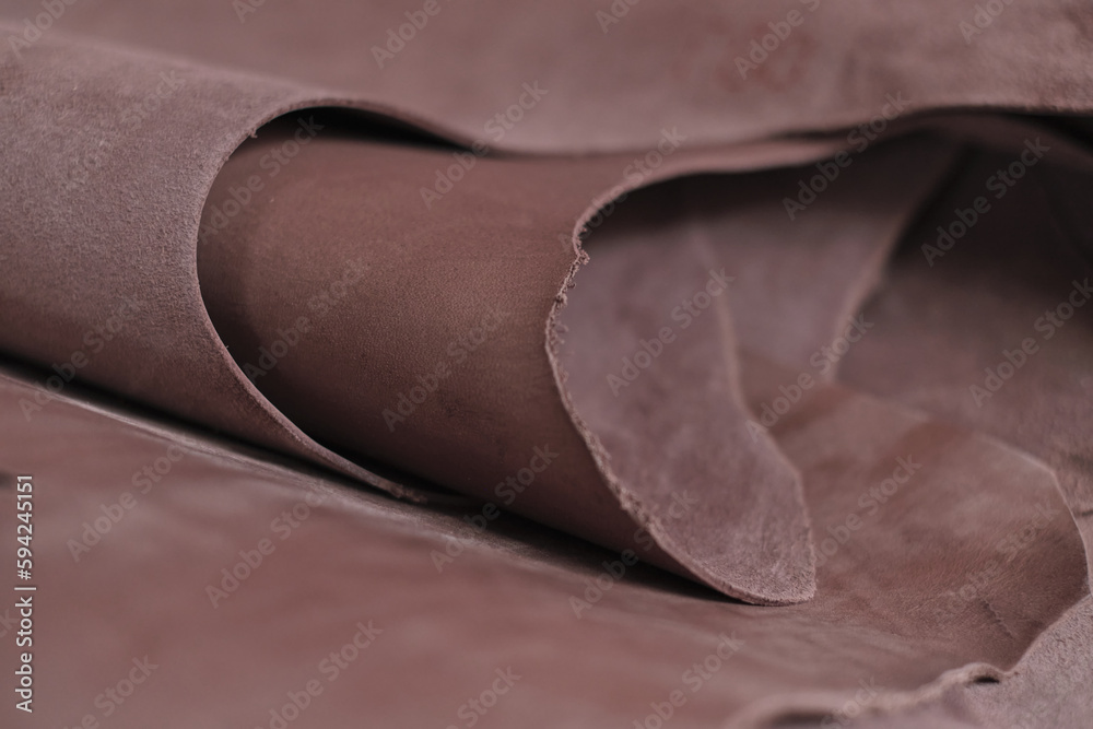 variety of top-notch genuine leather examples, accentuating the ...