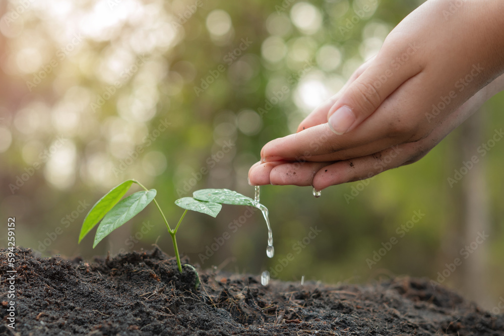 hands holding plant with soil.World environment day and sustainable ...