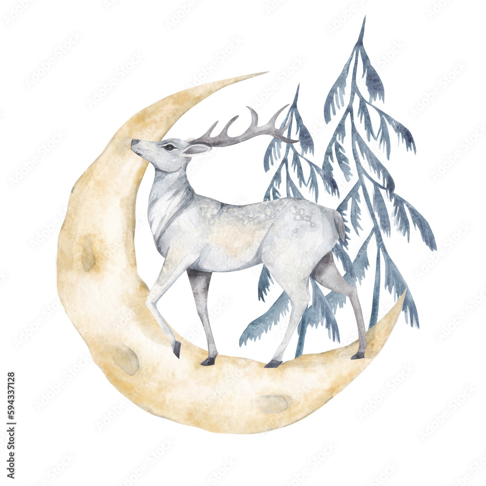 Watercolor illustration of a white deer with antlers standing on the ...