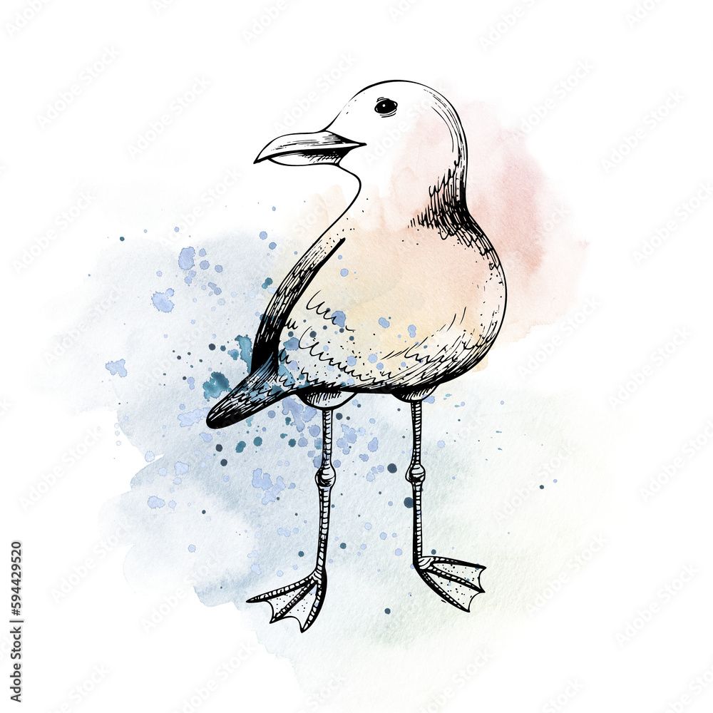 Sea gull. Isolated object drawn by hand in graphic technique ...