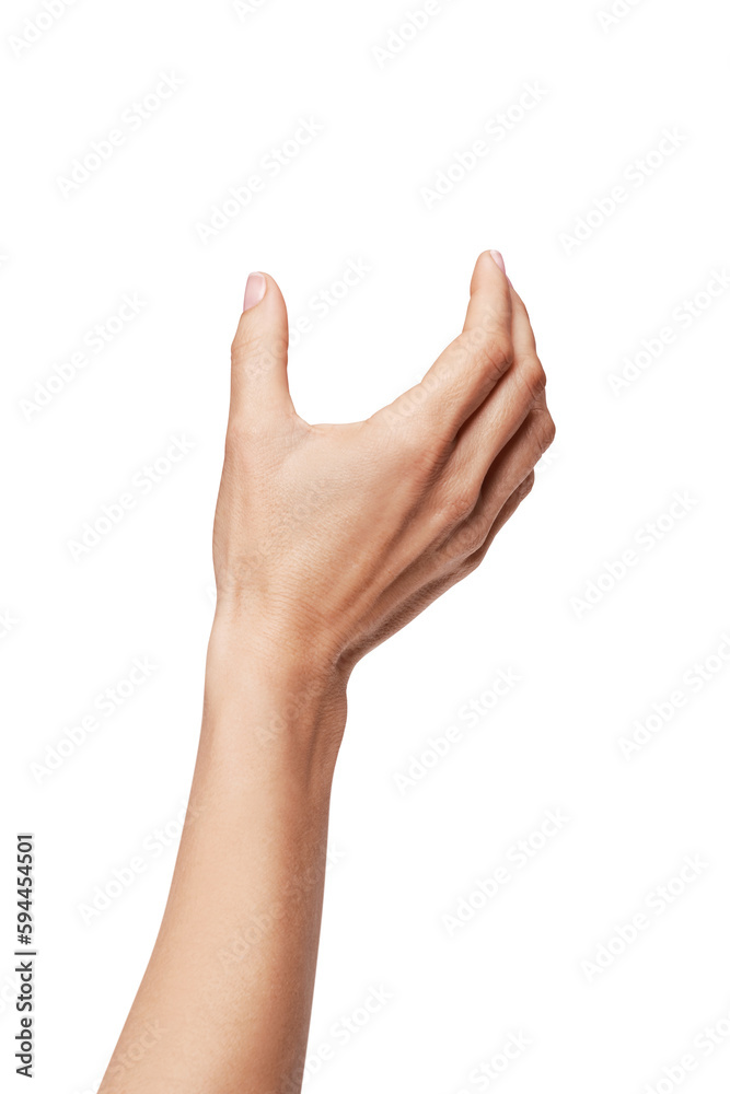 woman's hand holding something Stock Photo | Adobe Stock