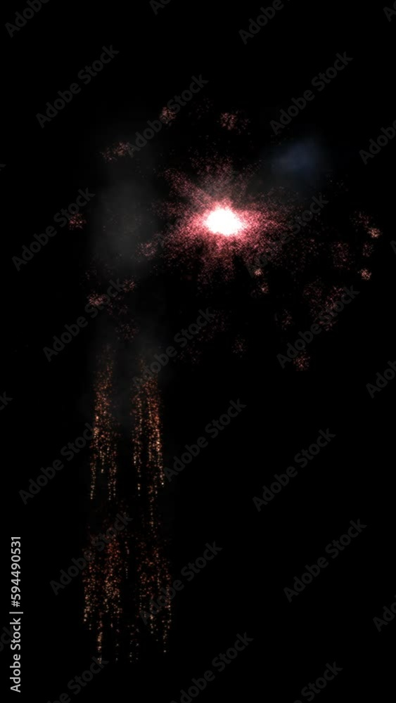 Vidéo Stock A vertical video of multiple fireworks launching and ...