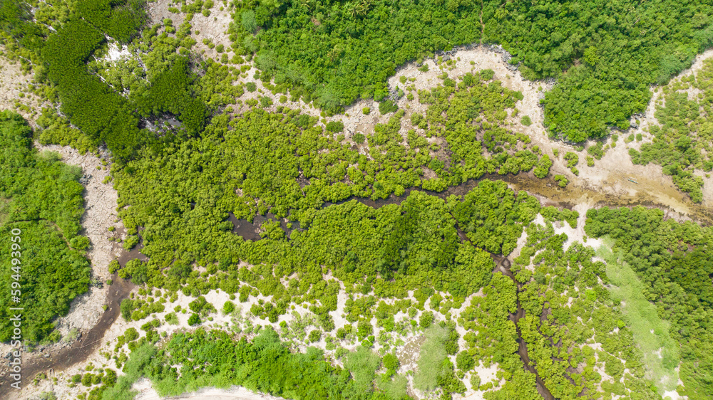 Aerial drone of coastline with green mangroves and forest. Mangrove ...